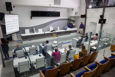 Manejo arbóreo da rua Anchieta é discutido em audiência pública Notícias