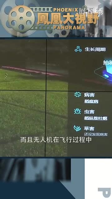 农民成为令人羡慕的职业！操纵无人机的广东“新农民”凤凰网视频凤凰网
