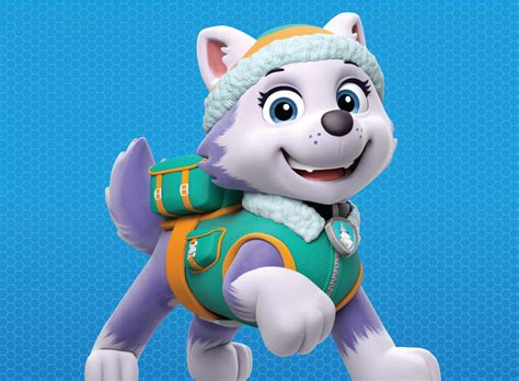 Paw Patrol Characters Names With Images Online Deals Th