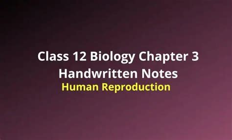 Ncert Class 12 Biology Human Reproduction Notes Handwritten Notes And Pdf Download