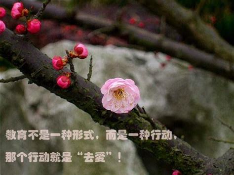 好妻旺三代、爛女害人精 每日頭條