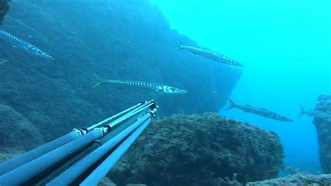 Pesca Submarina Diciembre Dentexxx Barracrudas Labraxxx Etc