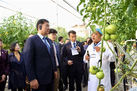 Монгол Улсын Ерөнхийлөгч У Хүрэлсүх Ниншя хотон үндэстний Өөртөө засах