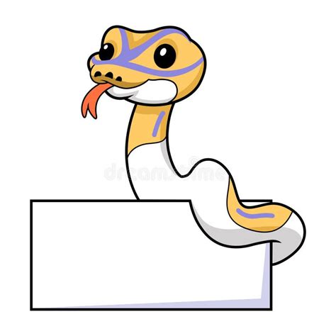 Cute Banana Pied Ball Python Cartoon With Blank Sign Stock Vector