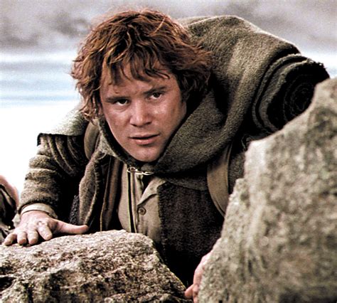 Anlatan Ki I Bir Kahraman Samwise Gamgee Bir Alegori Sm Gol N M