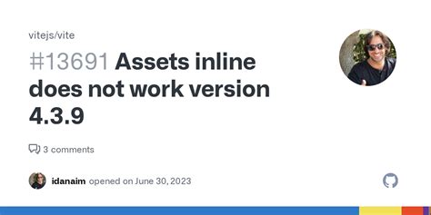 Assets Inline Does Not Work Version 439 · Issue 13691 · Vitejsvite
