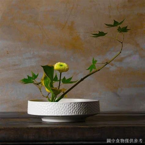 熱賣劍山插花器小原流禪意日式花道陶瓷插花器皿中式插花花盆底座花盤 蝦皮購物
