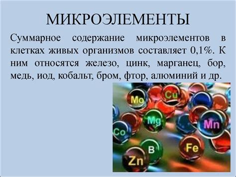Макроэлементы и микроэлементы презентация онлайн