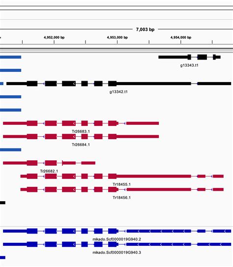 optimising scoring file · issue 446 · ei corebioinformatics mikado