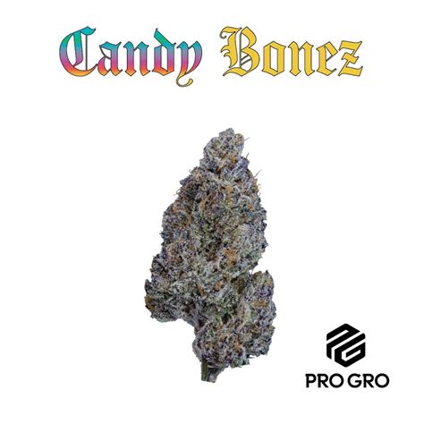 Candy Bonez Pre Roll 1g Pro Gro