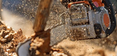 Professional Tree Services St Charles County MO Liscombe Tree Service