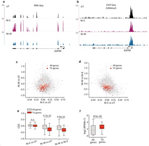 H3k4me3 Profiles At The Transiently Upregulated Tu Genes A Genome Download Scientific
