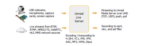 Unreal Media Server Software Suite Provides Full Interoperability