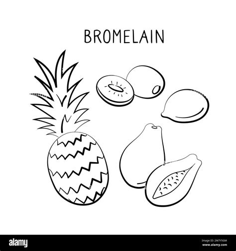 Bromelain Containing Food Groups Of Healthy Products Containing