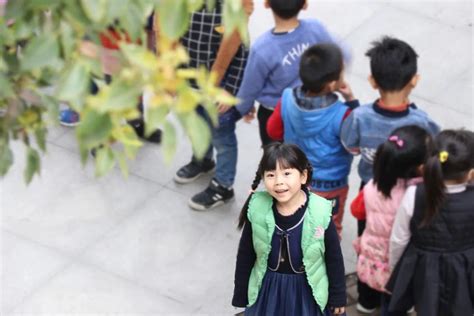 约第一波河南校园春景来袭快来打卡 大河网