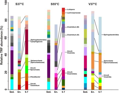Relative T Rf Abundance Of The Bacterial 16s Rrna Genes Digested With Download Scientific