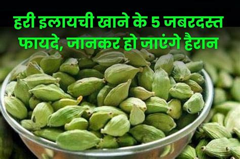 Health Tips हरी इलायची खाने के 5 जबरदस्त फायदे जानकर हो जाएंगे हैरान