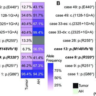 SNV Landscape Of RB Patients A Allele Frequency Plot For Deleterious
