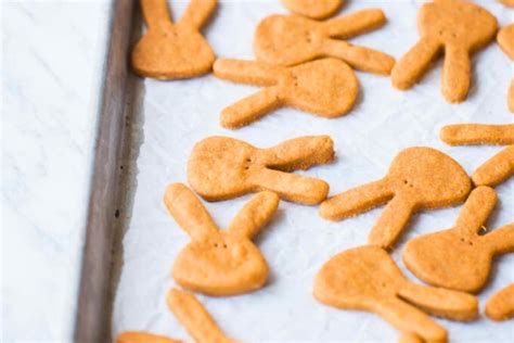 Recetas Caseras De Comida Y Golosinas Para Perros Mi Diario De Campo