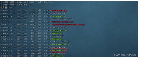 《linux篇》02 超详细springboot项目部署教程 附脚本自动部署 （一） 阿里云开发者社区