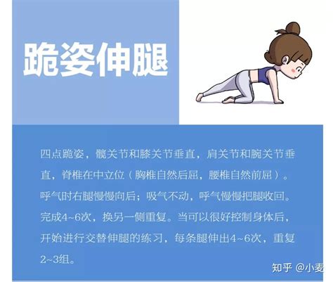 腹直肌分离，三做五不做 知乎