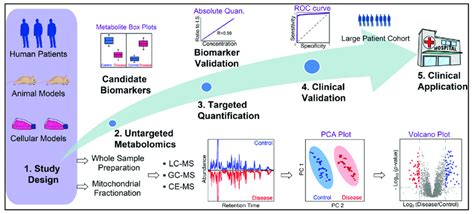general workflow of ms based metabolite biomarker discovery for download scientific diagram