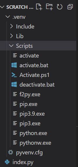 Problem In VS Code To Target Virtual Environment Venv In My