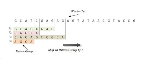 Mp Kr Algorithm Searching Phase Download Scientific Diagram