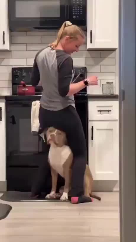 Dance Partners Album On Imgur