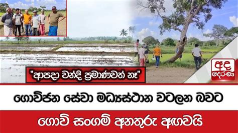 ආපදා වන්දි ප්‍රමාණවත් නෑ ගොවිජන සේවා මධ්‍යස්ථාන වටලන බවට ගොවි සංගම් අනතුරු අඟවයි Youtube