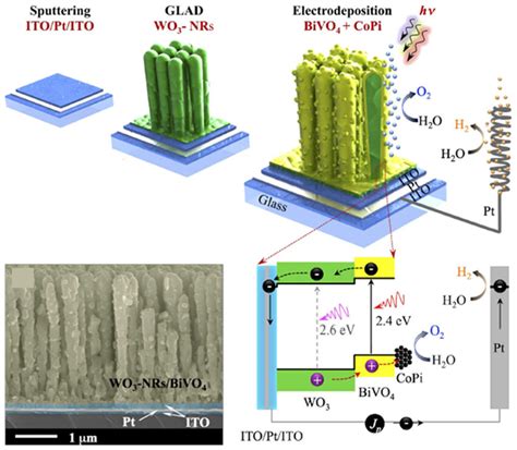 schematic illustration of a core shell wo3 nanorods bivo4 photoanode