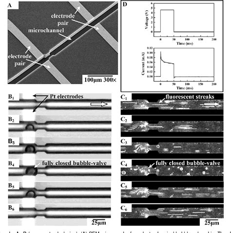 Figure 1 From Microfluidic Actuation Using Electrochemically Generated Bubbles Semantic Scholar