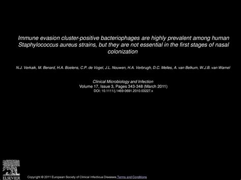 Immune Evasion Cluster Positive Bacteriophages Are Highly Prevalent
