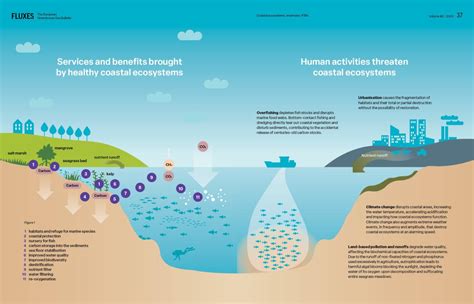 Coastal Ecosystems Reservoirs Of Life Icos