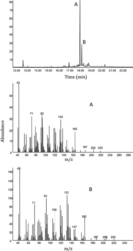 Segments Of Gc Ms Total Ion Chromatograms On A Chiraldex G Ta Column
