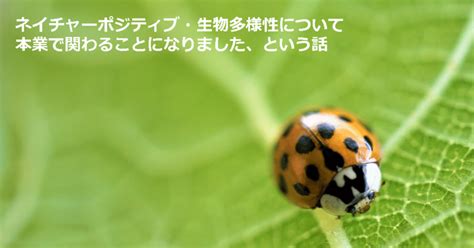 ネイチャーポジティブ・生物多様性について本業で関わることになりました、という話｜しのジャッキー篠崎 裕介