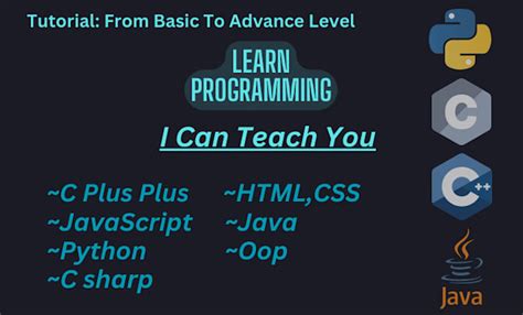 Teach You Python Javaccsharp Coding And Scripting By Areeb06 Fiverr
