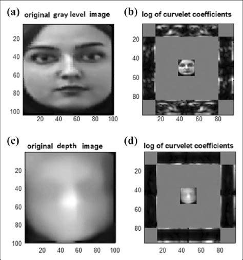 Original Gray Level Of A Sample Image In The Database A Its Download Scientific Diagram