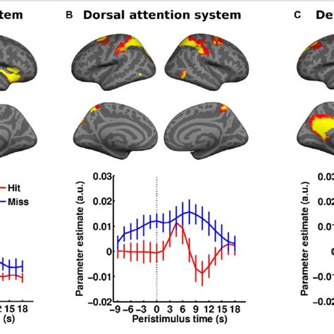 Pdf The Relation Of Ongoing Brain Activity Evoked Neural Responses And Cognition