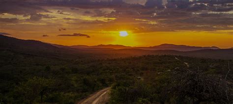 Serengeti Weather And Climate All You Need To Know Tourradar