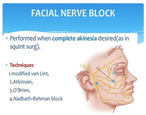Ophthalmic Anesthesia 3 Flashcards Quizlet