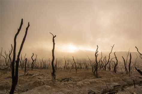 How Air Pollution Causes Acid Rain Breeze Technologies