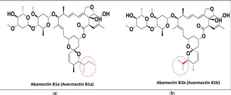 Table 1 From The Effect Of Abamectin On Locusta Migratoria Neurosecretory Cells And Mid Gut