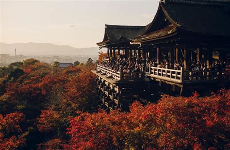 [교토] 금각사 And 기요미즈데라 And 후시미이나리 신사 투어 오사카 출발 Live Japan 일본여행정보사이트