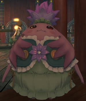 Etoto Xeno Series Wiki