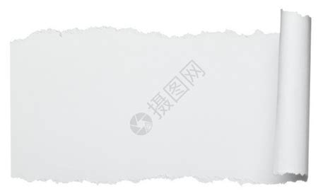 白色背景上卷曲纸的特写高清图片下载 正版图片503038524 摄图网