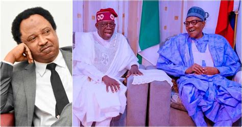 “ignore Buhari Probe Past Government” Shehu Sani Tells Tinubu Gives
