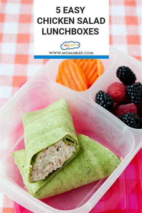 Healthy Lunch Ideas For Back To School With Chicken Salad