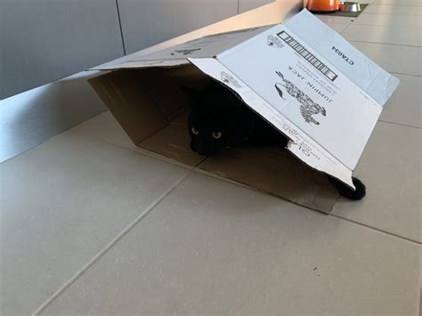 Are Cover Letters Important When Writing A Tender Response