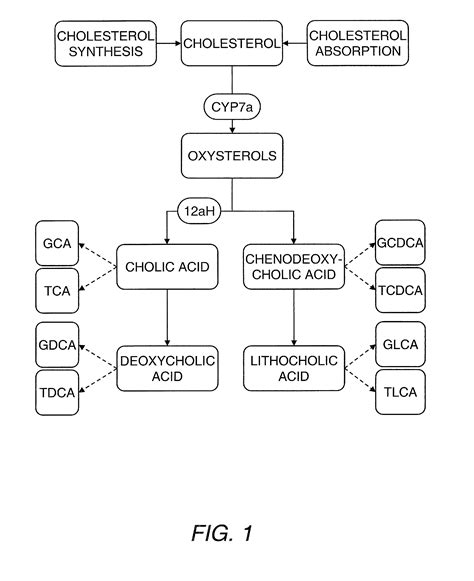Lipidomic Approaches To Determining Drug Response Phenotypes In Cardiovascular Disease Eureka